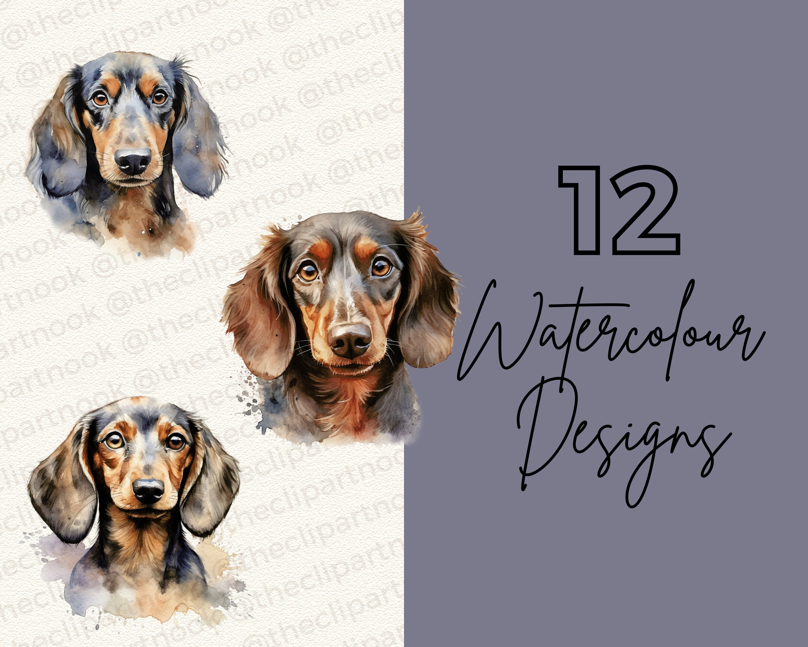 Dachshund Dog Clipart Watercolour Dachshund Sausage Dog Clip - Etsy