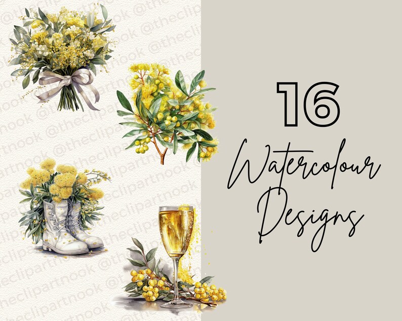Golden Wattle Clipart | Watercolour Golden Wattle Clip Art | Digital ...