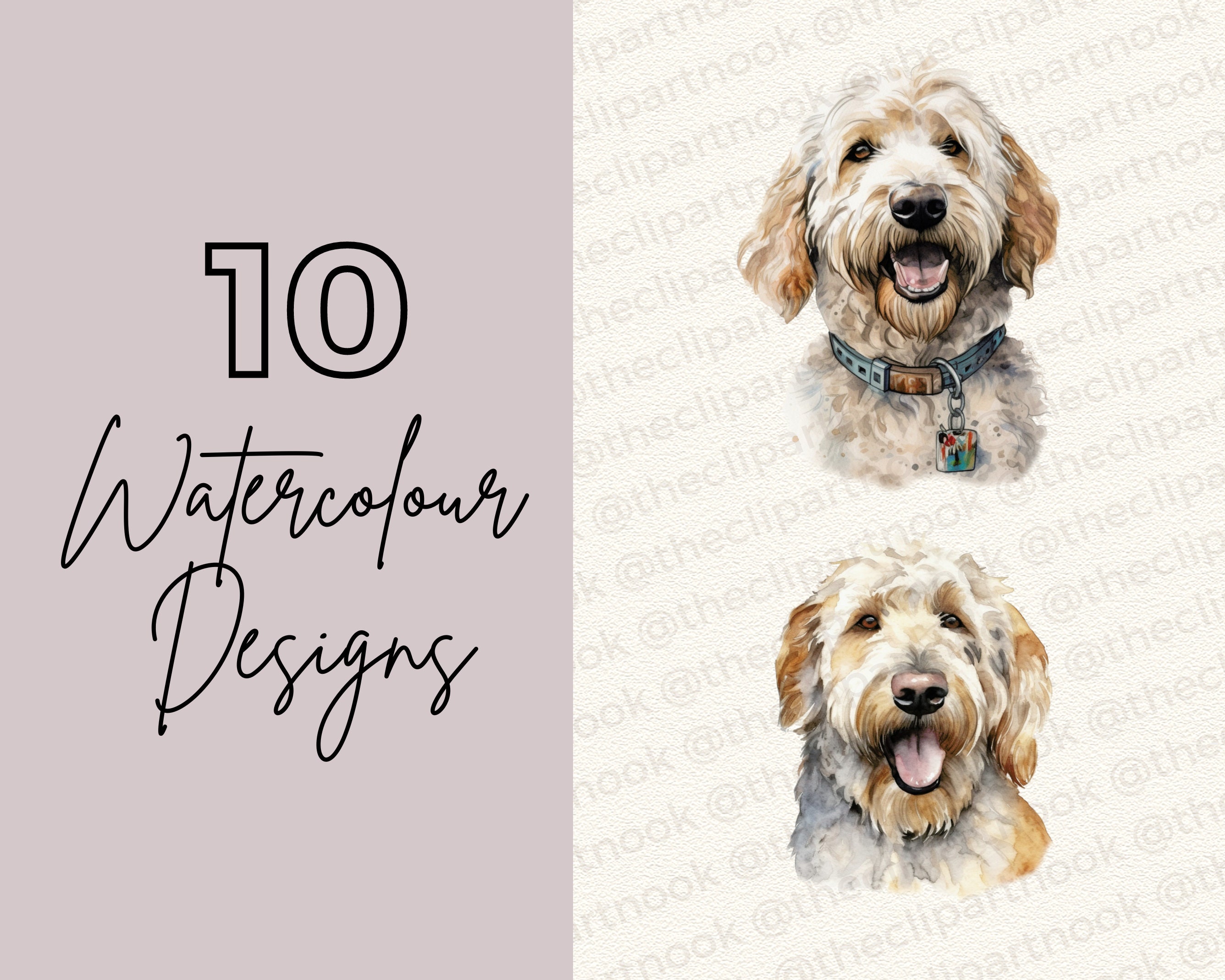 Golden Doodle Dog Clipart | Watercolour Golden Doodle Clip Art ...
