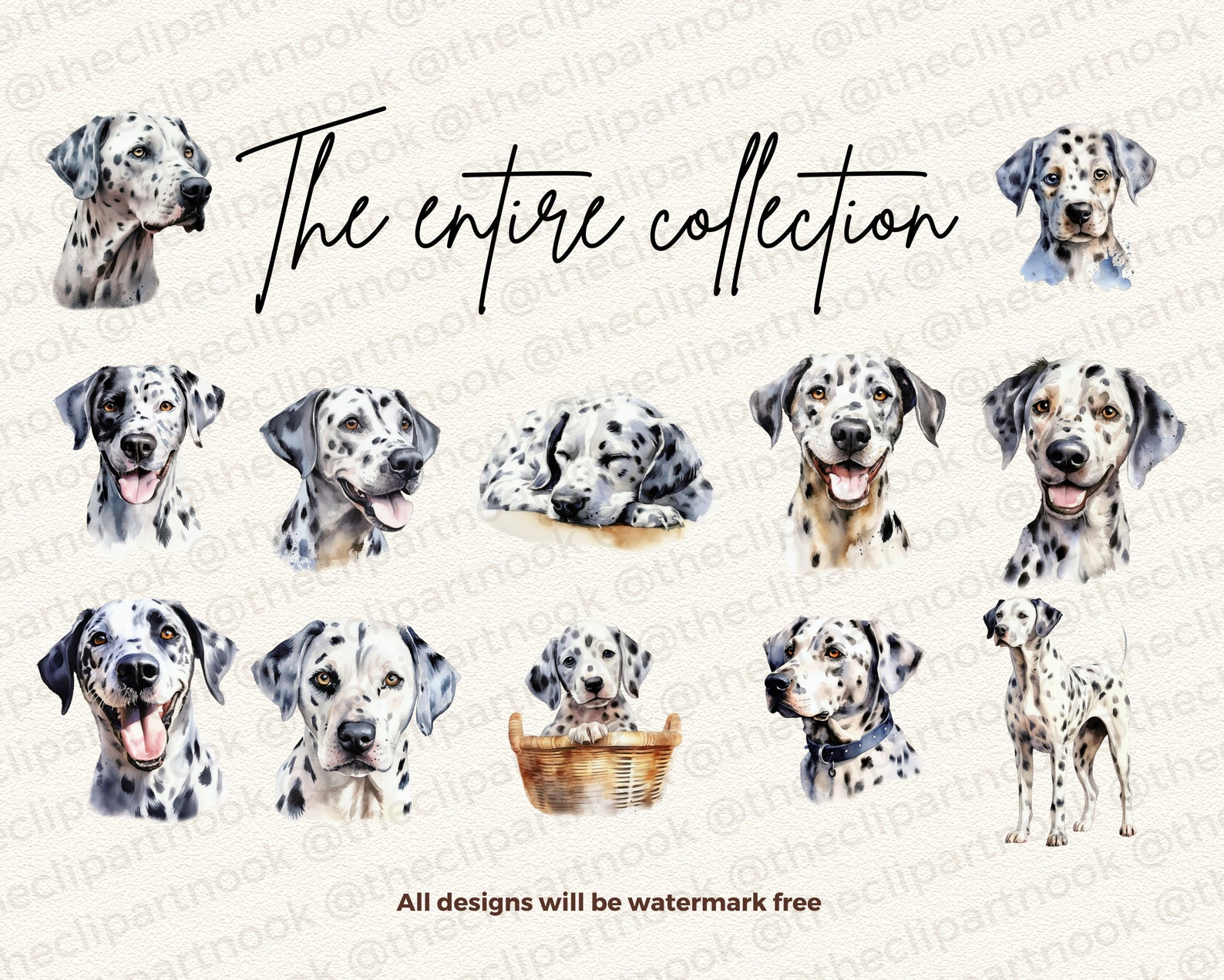Dalmatian Dog Clipart | Watercolour Dalmatian Dog Clip Art | Clipart ...