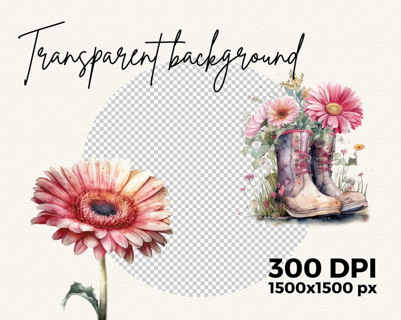 Pink Gerbera Clipart | Watercolour Pink Gerbera Clip Art | Digital ...