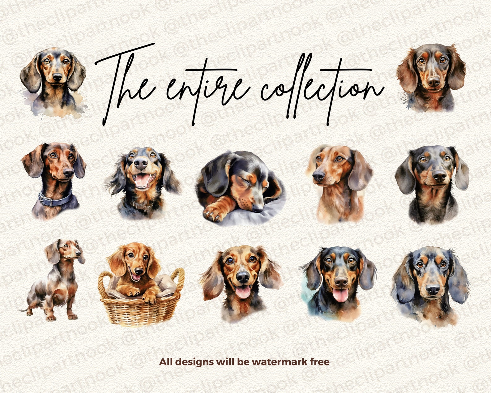 Dachshund Dog Clipart | Watercolour Dachshund Sausage Dog Clip Art ...