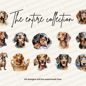 Dachshund Dog Clipart | Watercolour Dachshund Sausage Dog Clip Art ...