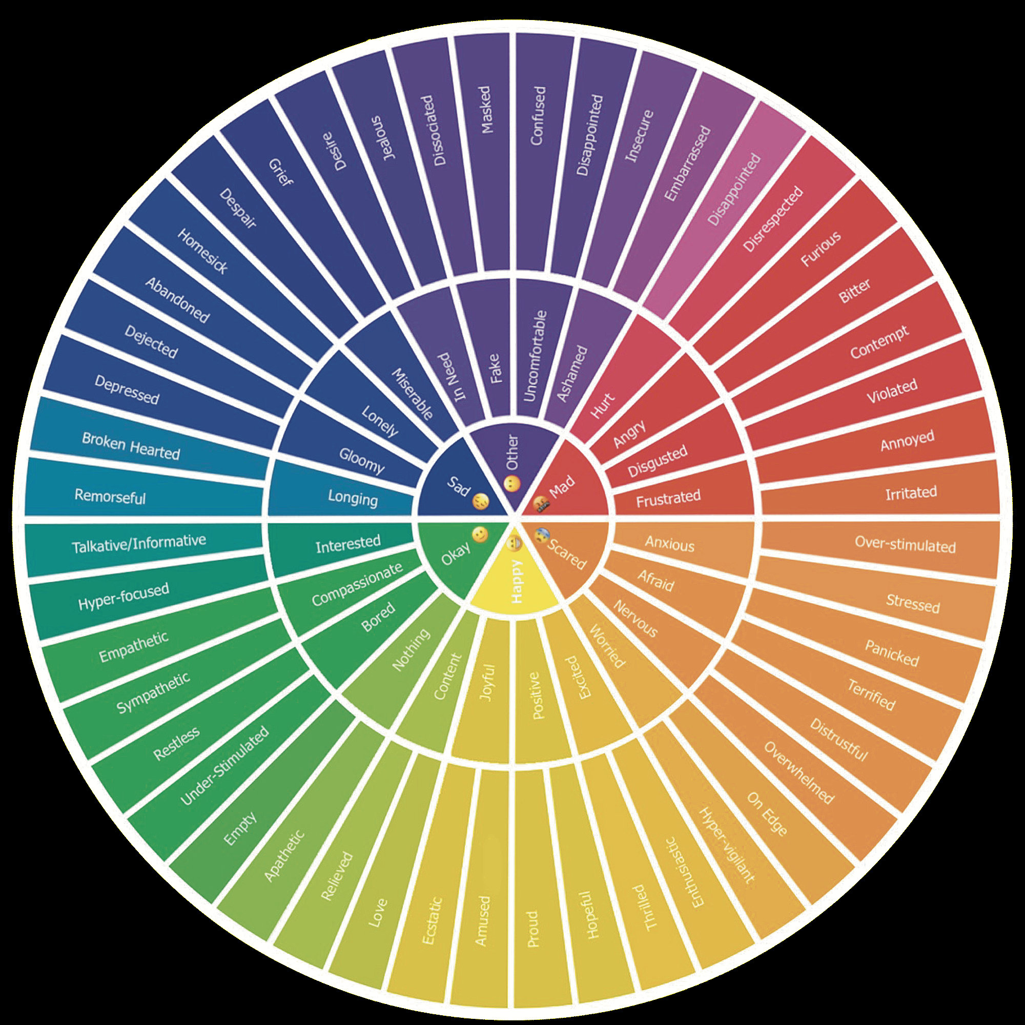Therapist Designed Neurodivergent-friendly Feelings Wheel Vinyl ...
