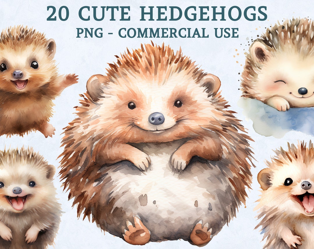 Watercolor Hedgehog Clipart PNG Bundle Cute Nursery Art Set - Etsy