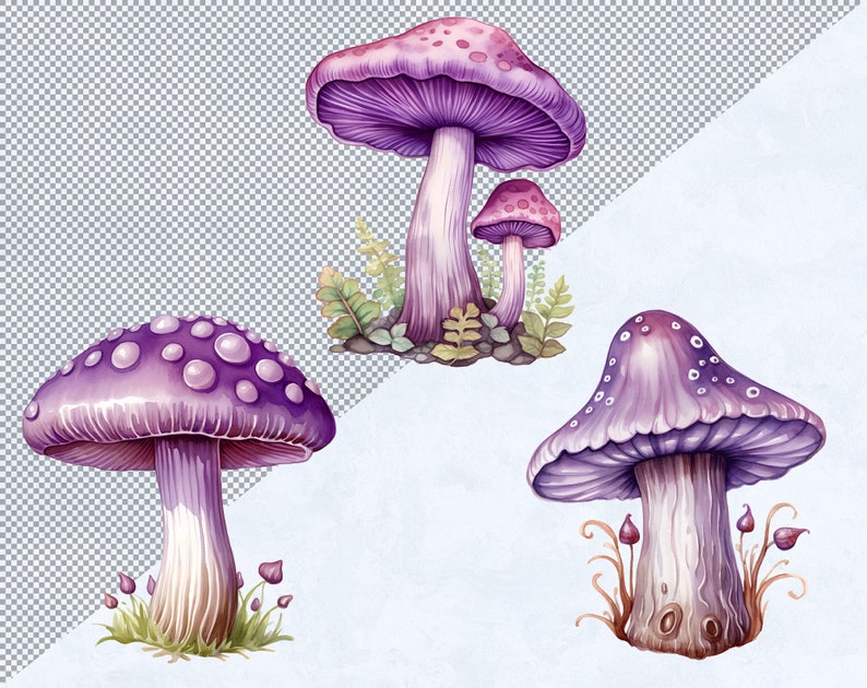 Purple Mushroom Clipart PNG Bundle Colorful Commercial Use - Etsy