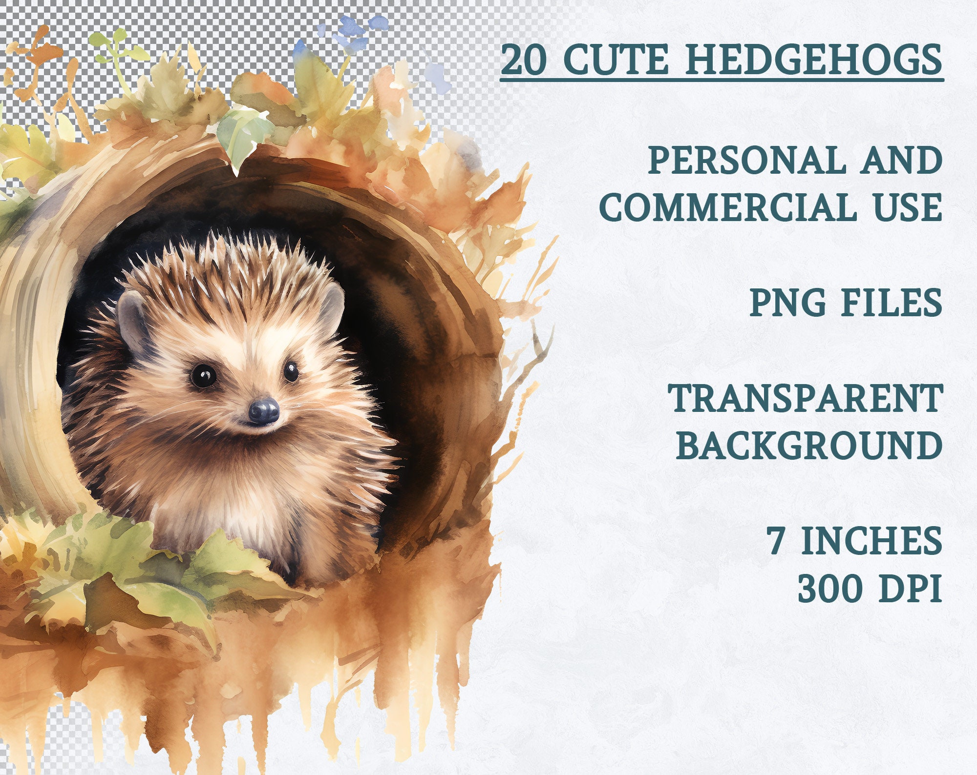 Watercolor Hedgehog Clipart PNG Bundle Cute Nursery Art Set - Etsy