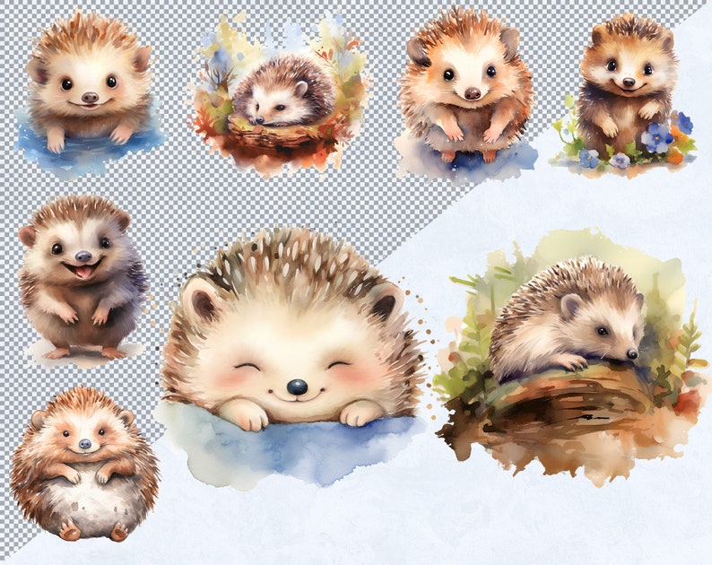 Watercolor Hedgehog Clipart PNG Bundle Cute Nursery Art Set - Etsy