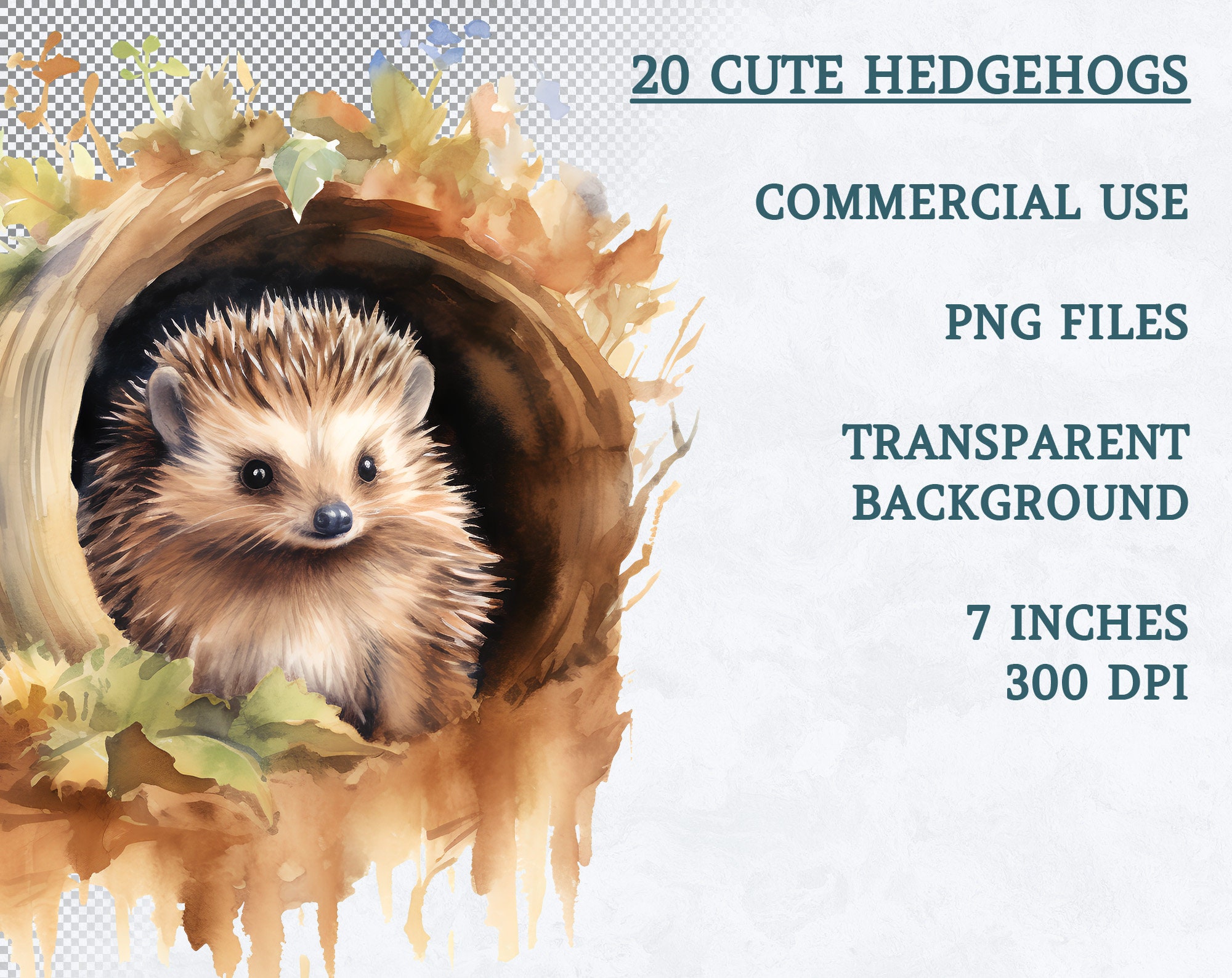 Watercolor Hedgehog Clipart PNG Bundle Cute Nursery Art Set - Etsy