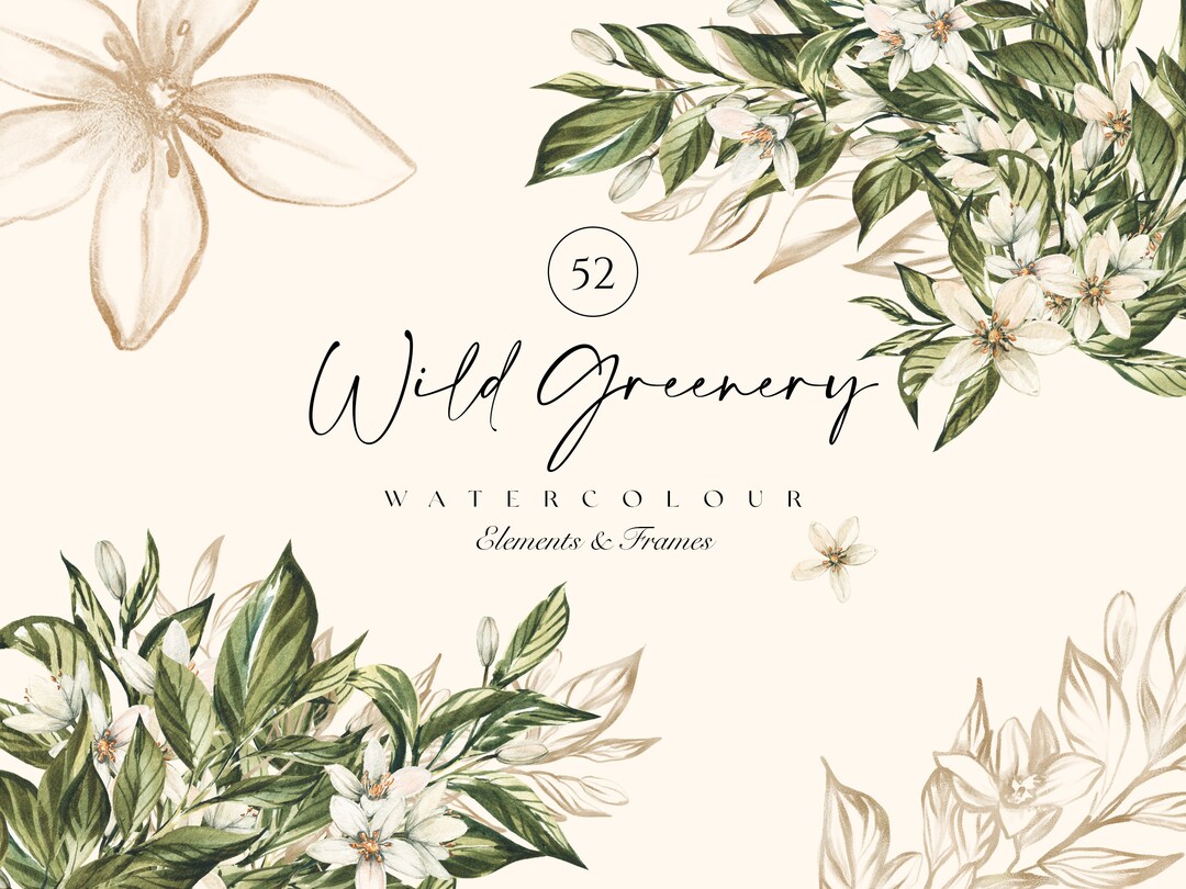 Watercolor Floral Clipart, Greenery Clipart, Watercolor Orchid Clipart ...