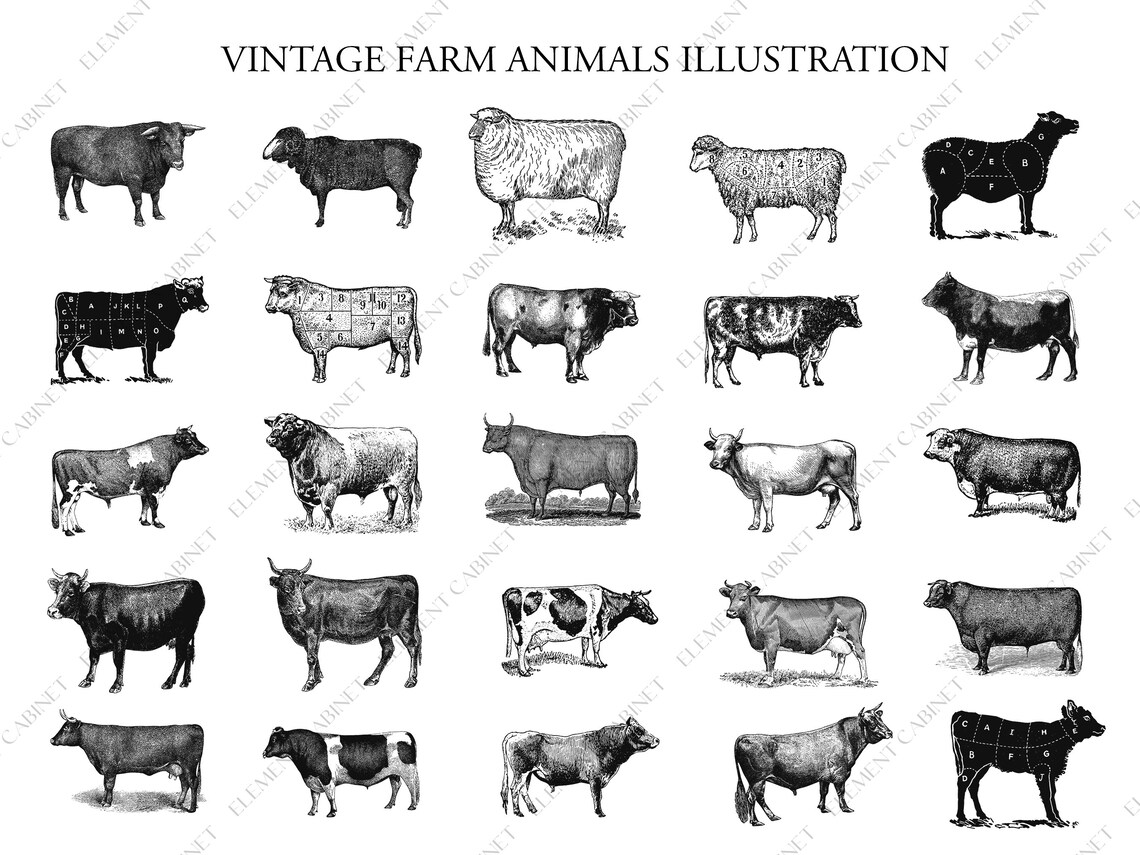 Farm Animals Clipart, Farm Animals Illustration Art, Clipart Silhouette ...