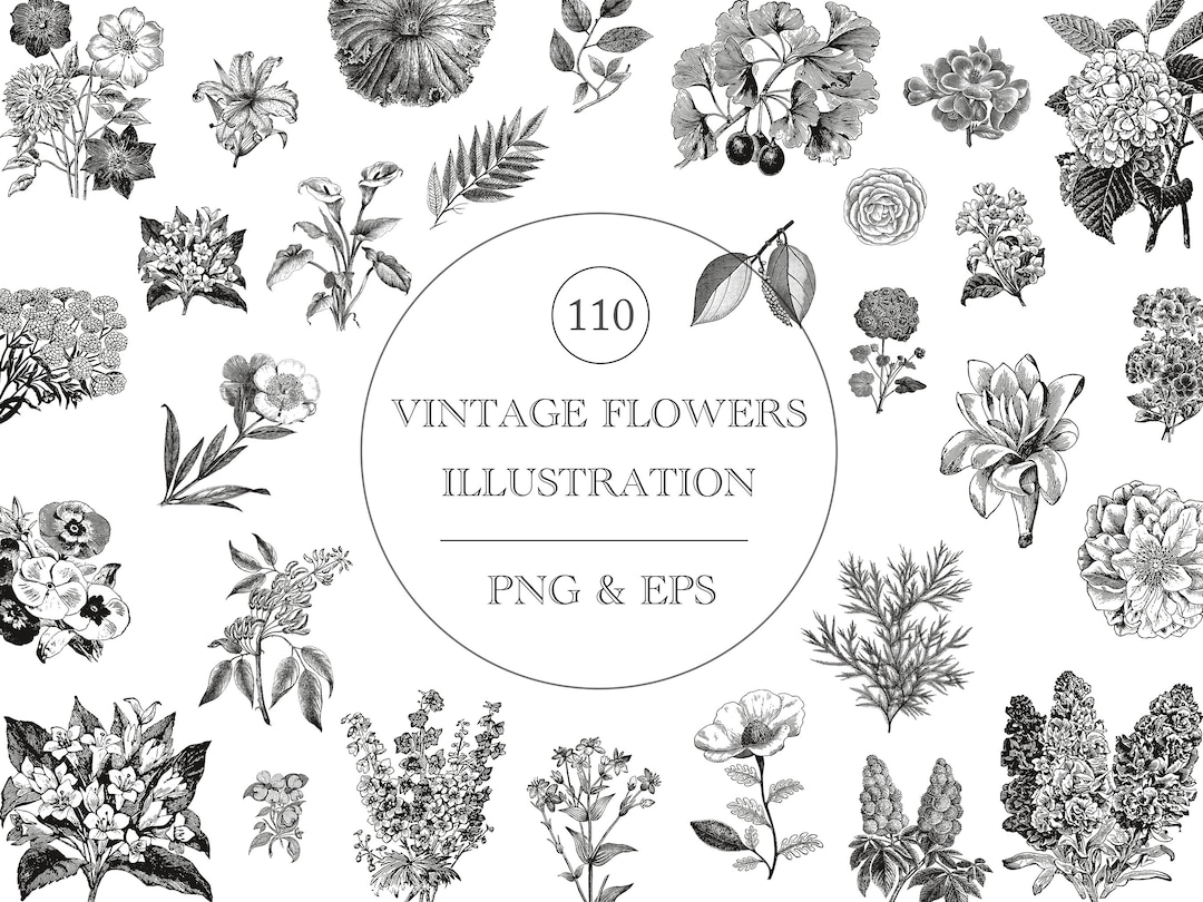 Vintage Flowers Illustration, Vintage Flowers Clipart, Digital Flowers ...