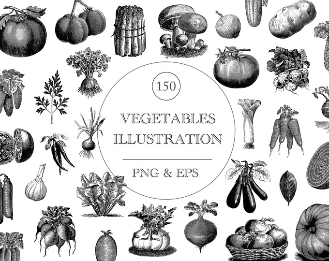 Vintage Vegetables Illustration Art, Antique Vegetables Clipart ...
