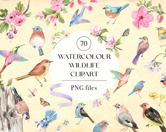 52 Watercolor Bird Clipart Bundle Spring Birds Clipart Birds - Etsy