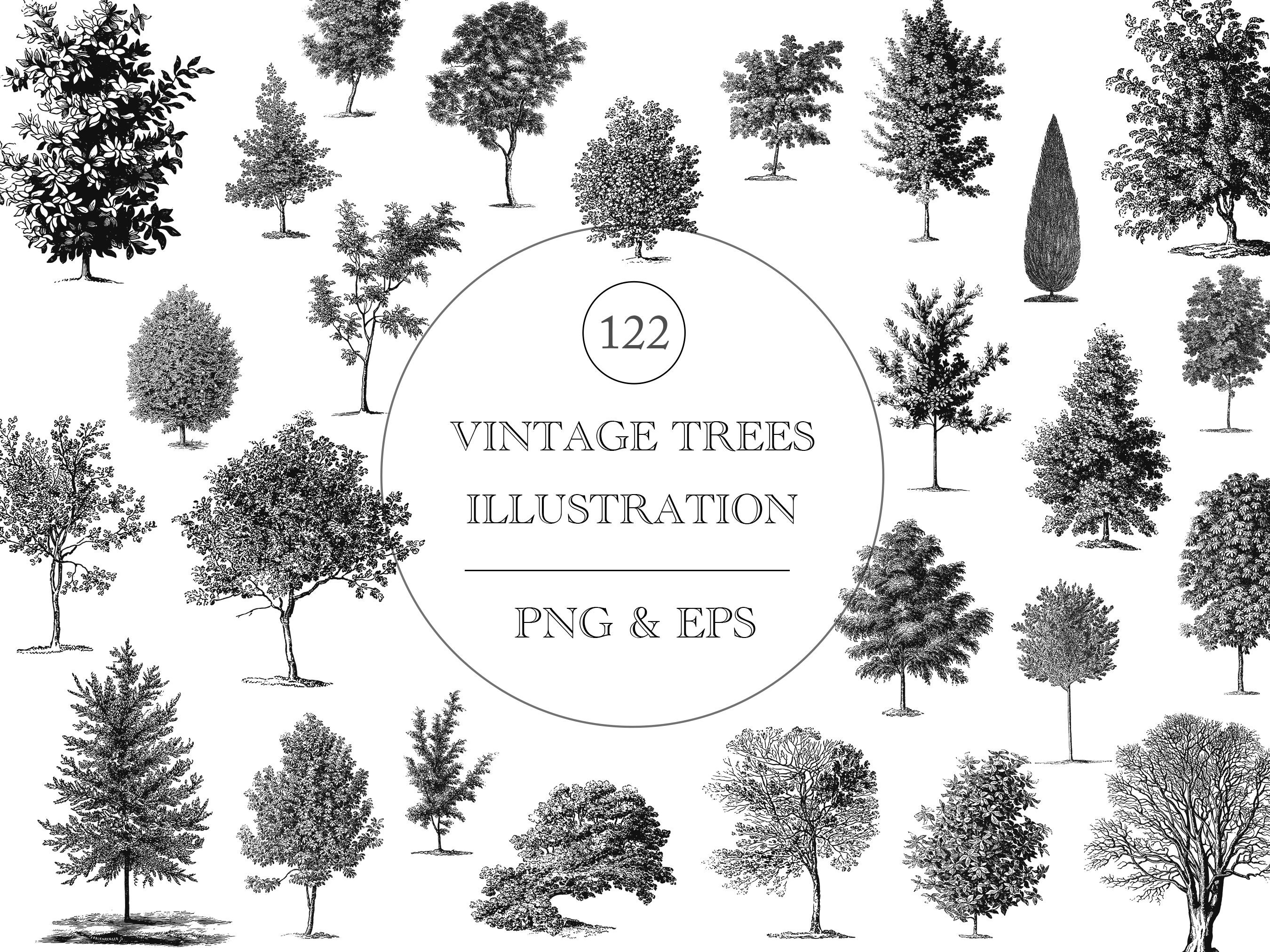 Vintage Trees Illustrations, Vintage Tree Clipart, Trees Digital ...