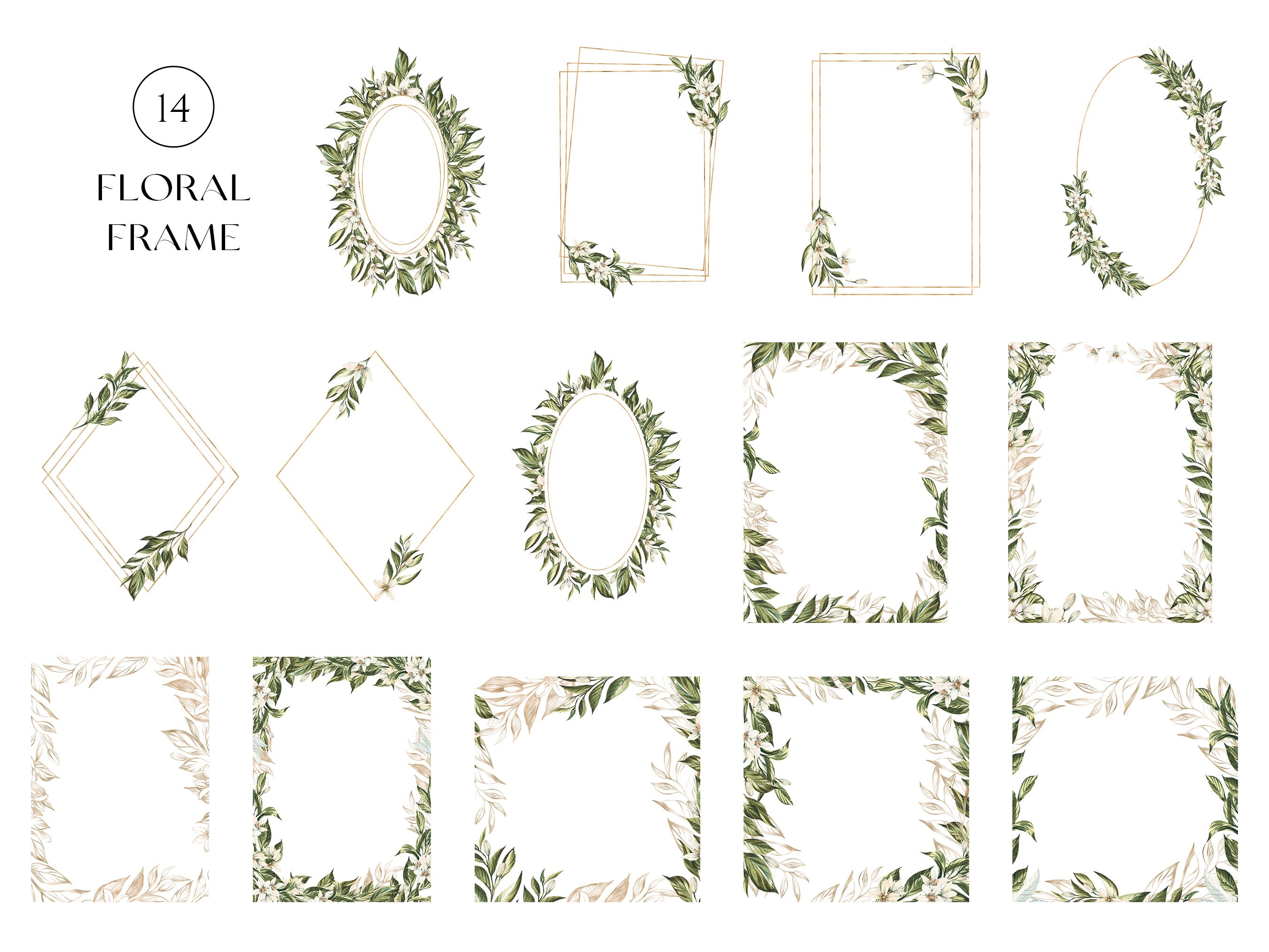 Watercolor Floral Clipart, Greenery Clipart, Watercolor Orchid Clipart ...