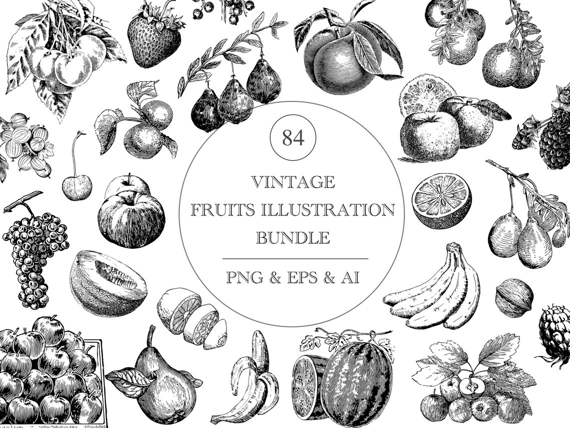 Vintage Fruits Illustration Mega Bundle, Vintage Fruit Illustration ...