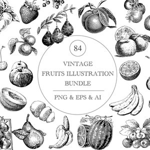 Vintage Fruits Illustration Mega Bundle, Vintage Fruit Illustration ...