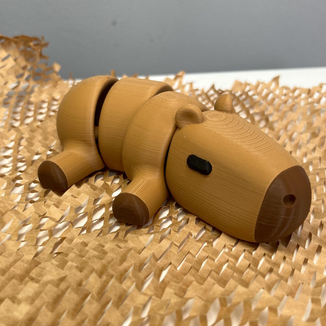Cute Capybara Fidget Toy I Adorable Animal & Nature Themed Gift I ...