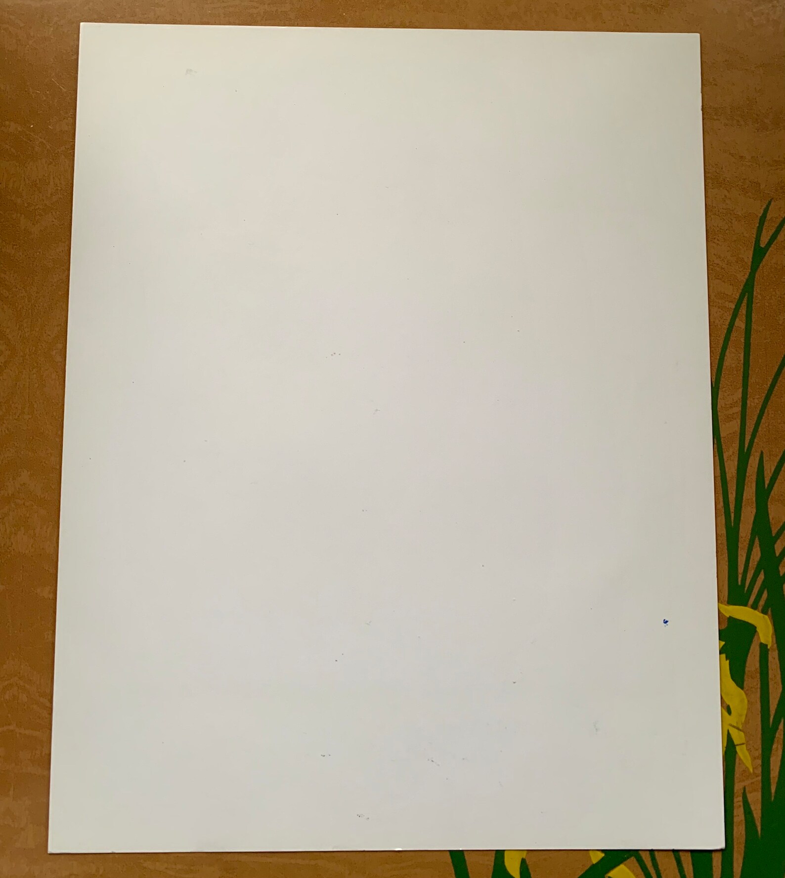 AUTOGRAPHED PHOTO John Cena WWE Cenation 11x14 - Etsy