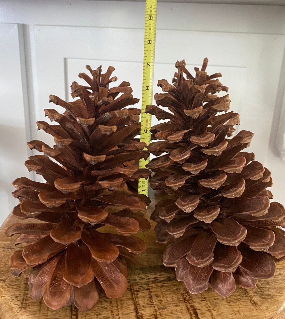 Large Natural, Georgia Pine Cones 4-pack - Etsy