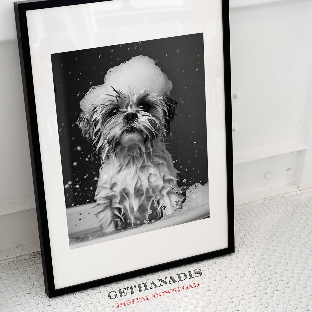 Shih Tzu Shower Wall Art Printable Dog Bathroom Decor Funny Shih Tzu ...