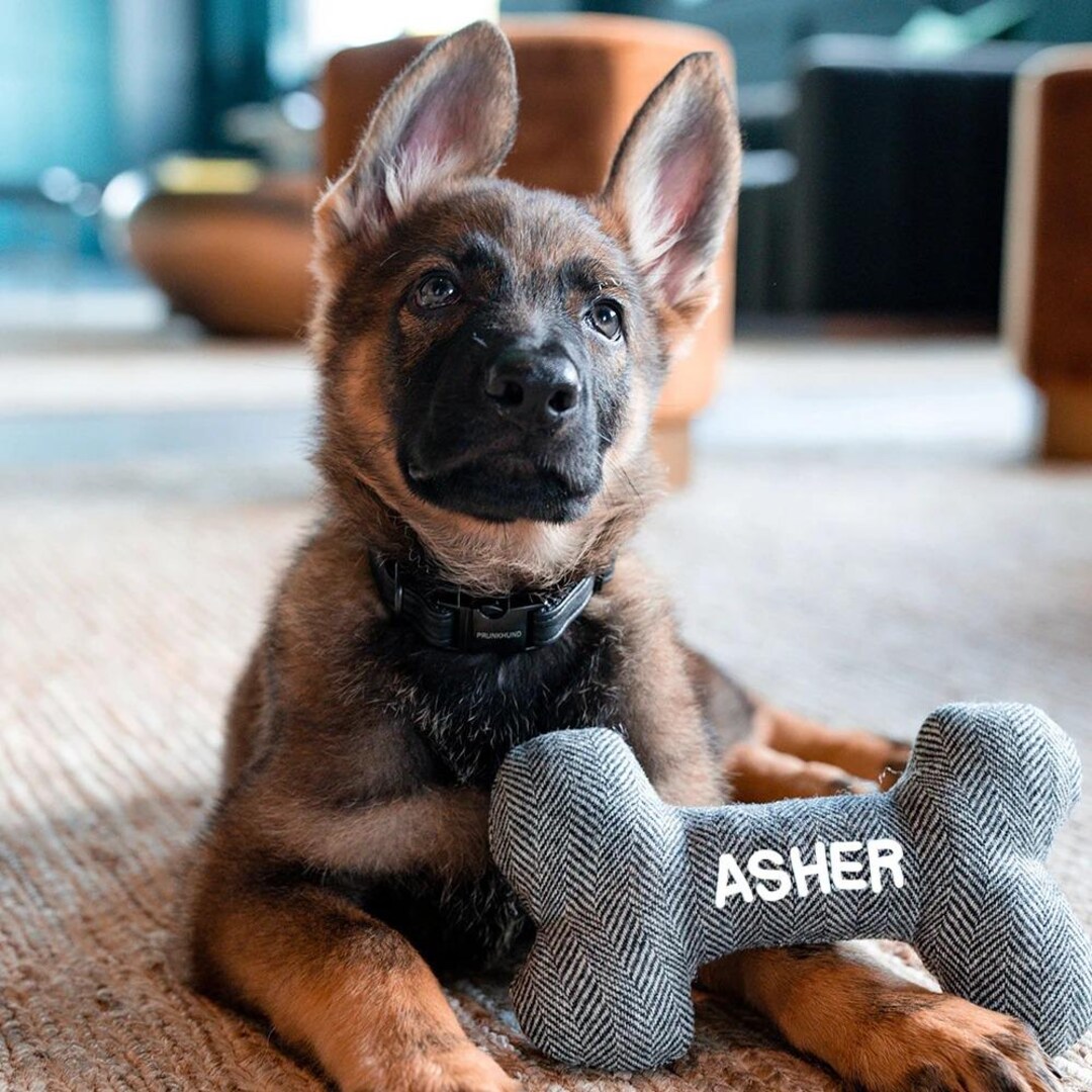 Personalized Plush Dog Bone Toy, Puppy Chew Toy, Christmas Gift - Etsy UK