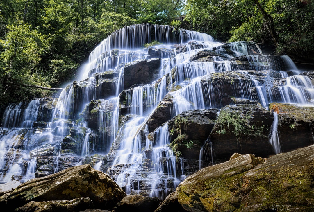 Yellow Branch Waterfall, SC, Spring, Yellow Branch, Sumter National ...