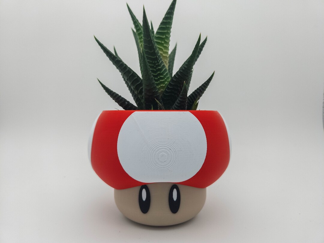 Mario Mushroom Flower Pot With Drainage - Etsy