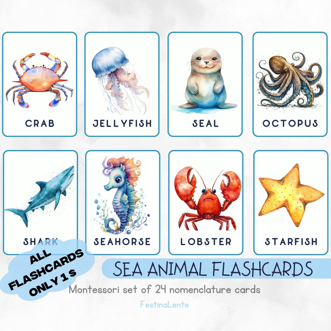 24 Sea Animals Flashcards Ocean Animals Homeschool - Etsy