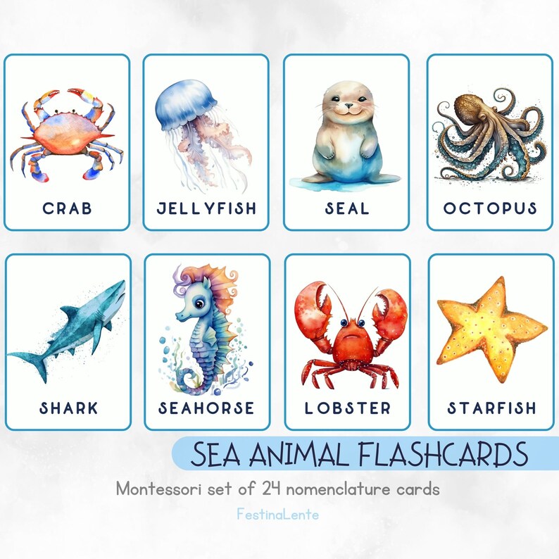 24 Sea Animals Flashcards, Ocean Animals, Homeschool Resources ...