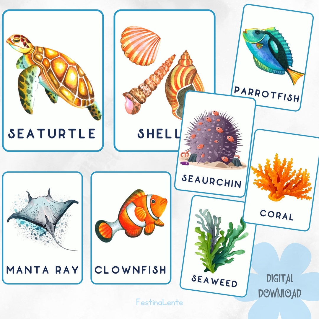 24 Sea Animals Flashcards, Ocean Animals, Homeschool Resources ...