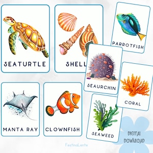 24 Sea Animals Flashcards, Ocean Animals, Homeschool Resources ...