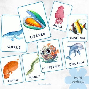 24 Sea Animals Flashcards, Ocean Animals, Homeschool Resources ...