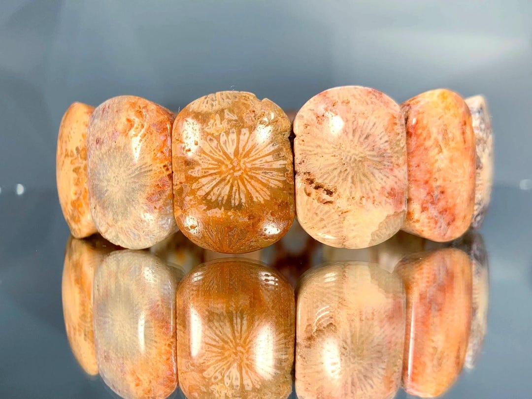 Petoskey Stone Bracelet: Silicified Coral Fossil Gemstone Healing ...