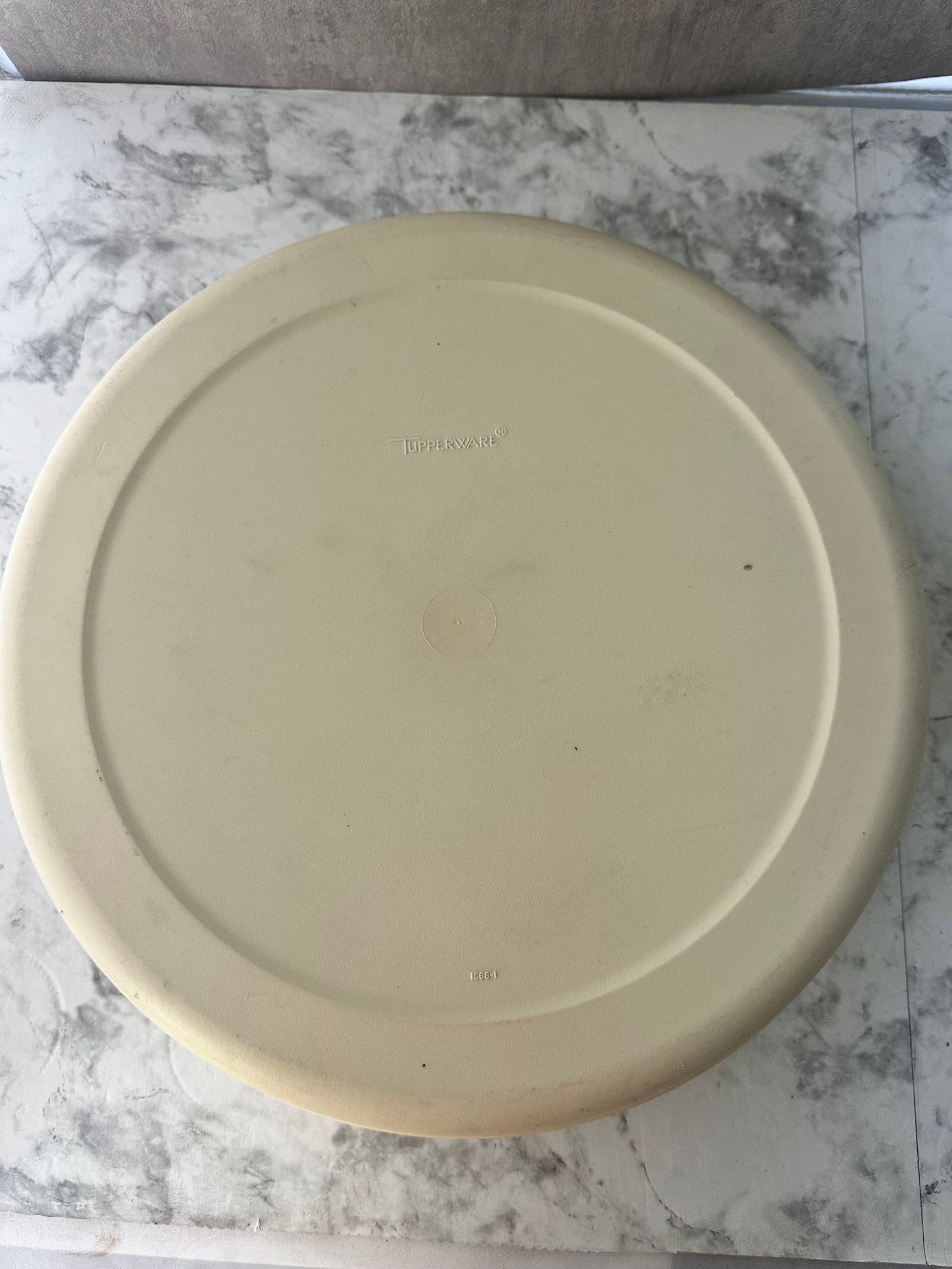 Tupperware Large Divided Serving Tray Veggies Chips and Dip Container ...