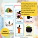 Seasonal ESL Vocabulary Posters and Flashcards Bundle | ESL Vocabulary ...