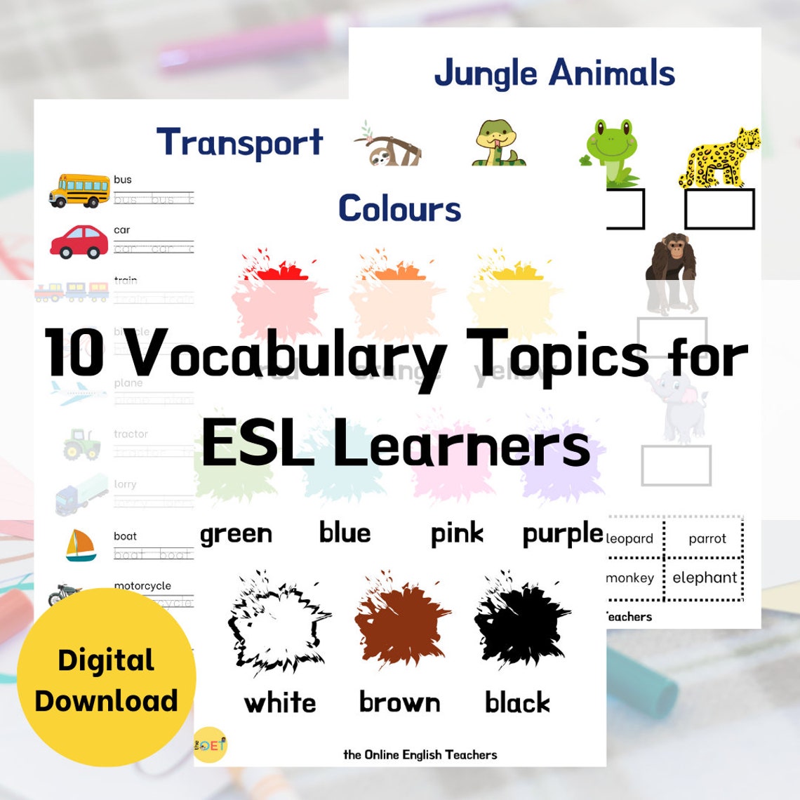 ESL Vocabulary Posters and Flashcards Bundle | ESL Vocabulary Posters ...
