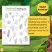 Rainforest Reading Log | Kids Reading Tracker | Reading Tracker ...