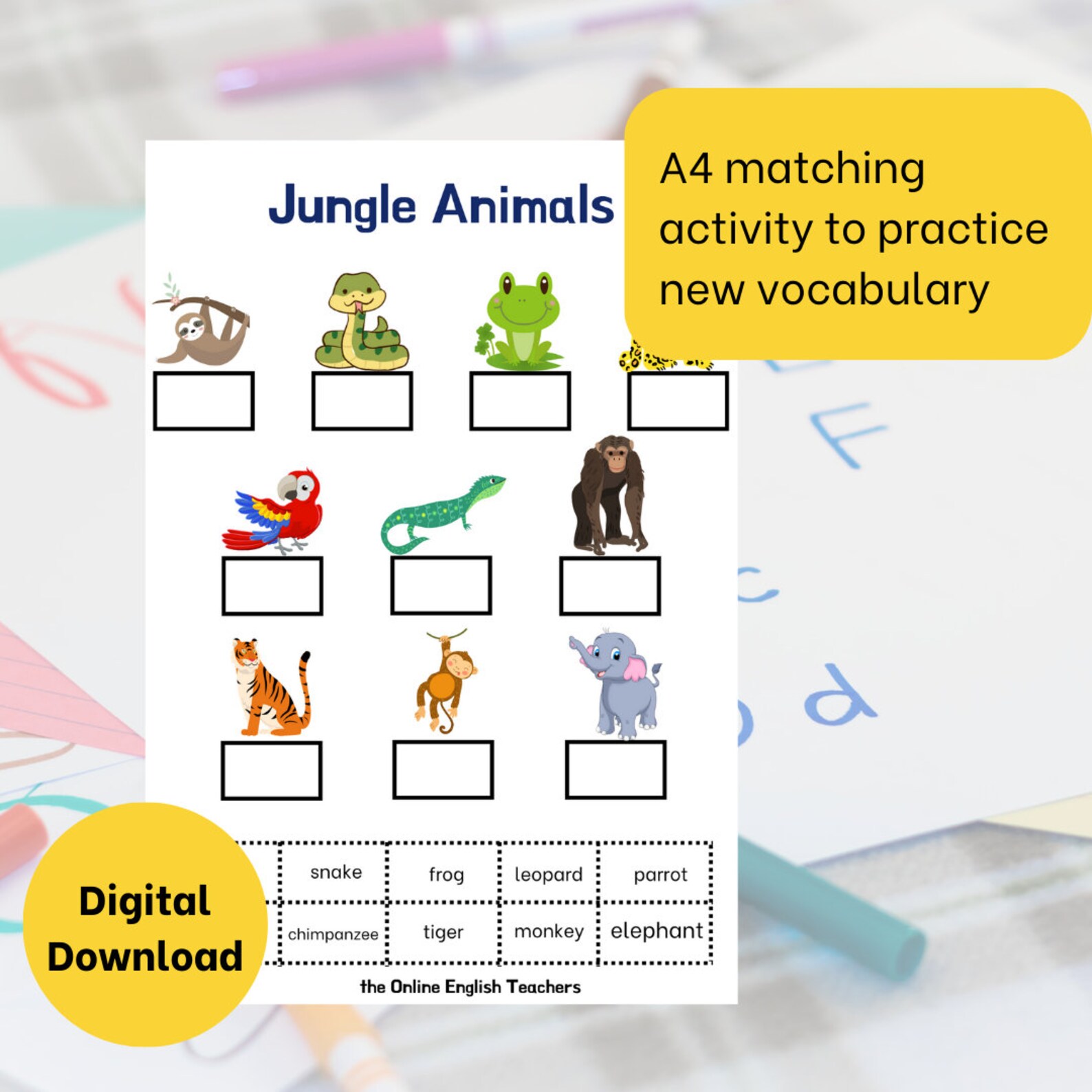 ESL Vocabulary Posters and Flashcards Bundle | ESL Vocabulary Posters ...