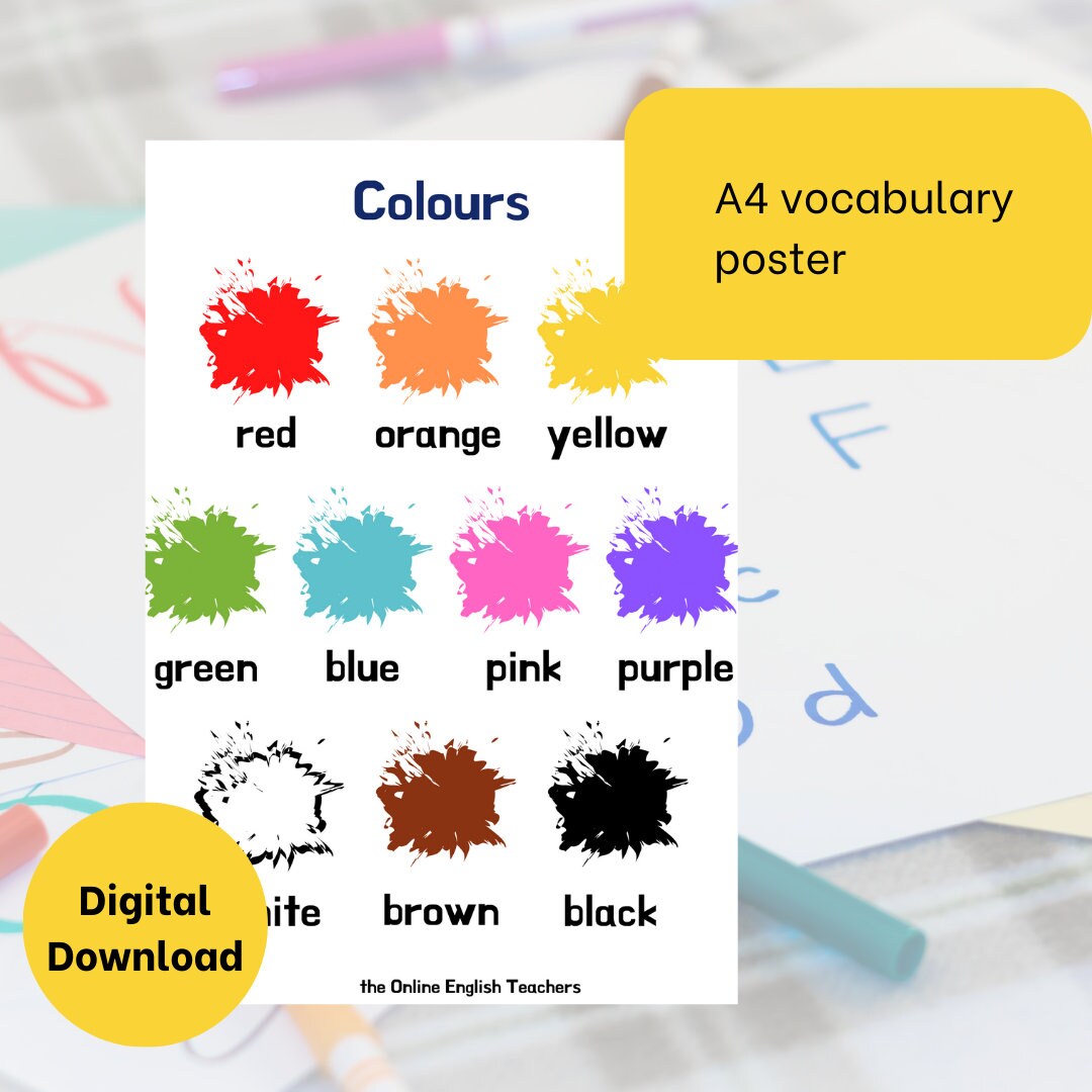 ESL Vocabulary Posters and Flashcards Bundle | ESL Vocabulary Posters ...