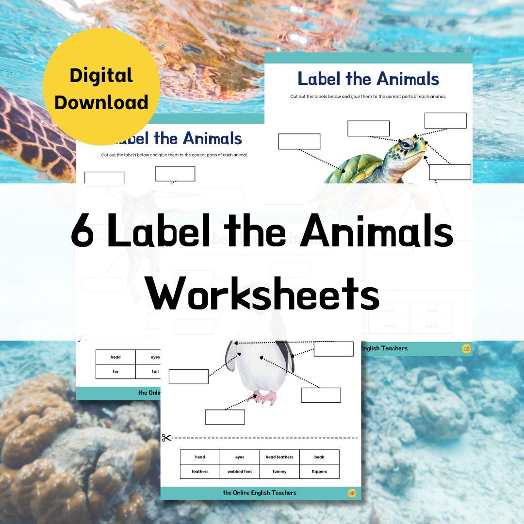 Label the Animals Worksheets | Animal Anatomy for Preschoolers ...