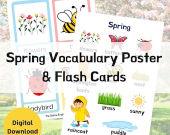 Summer ESL Vocabulary Posters and Flashcards Bundle | ESL | ELL ...