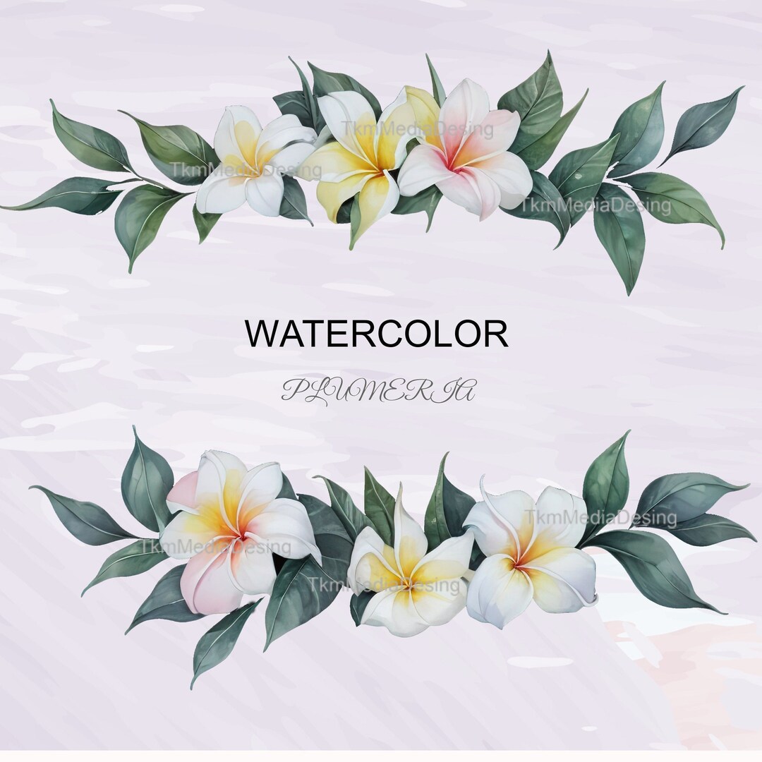 Watercolor Plumeria Border Clipart, Border, Wedding Invitations ...