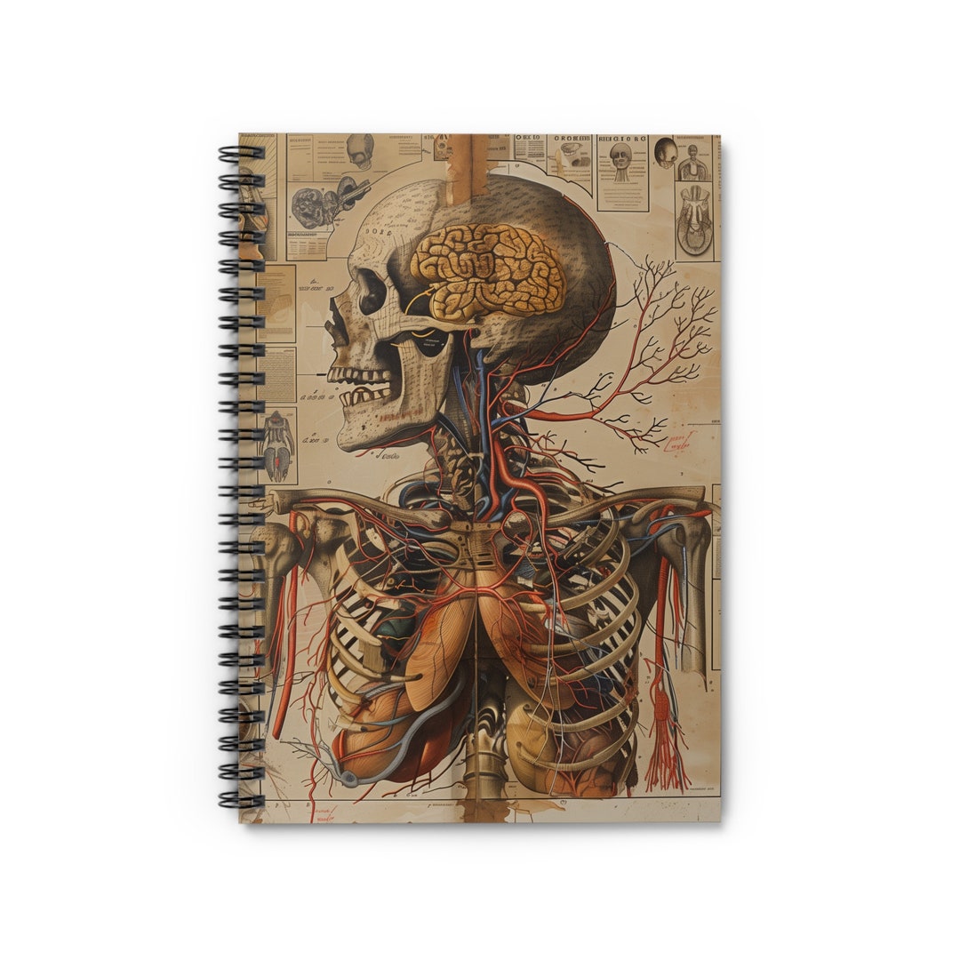 Retro Anatomy Art Illustration Spiral Notebook Ruled Line - Etsy UK