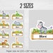 Editable Jungle Classroom Labels | Wild Animals - Etsy