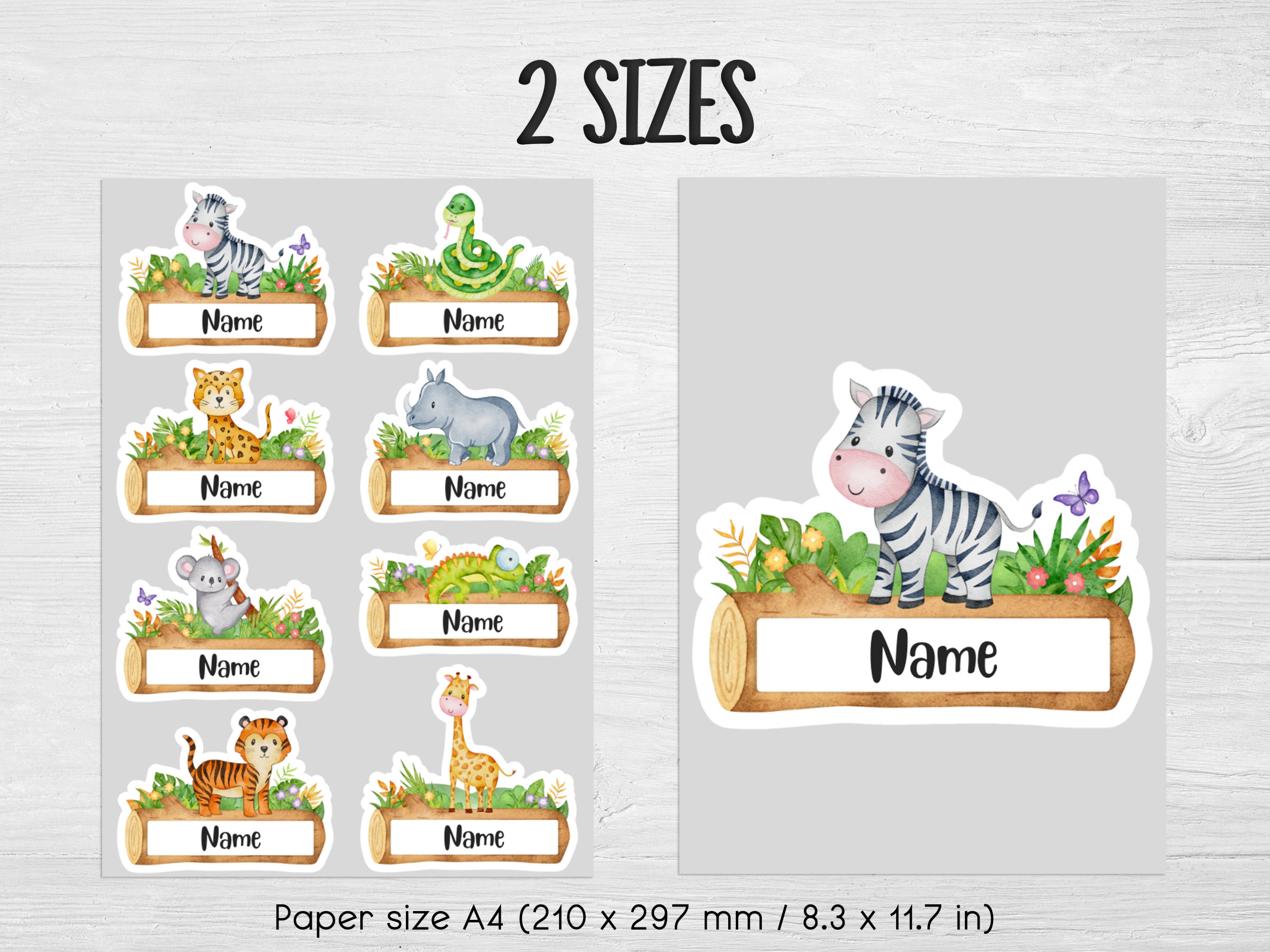 Editable Jungle Classroom Labels | Wild Animals - Etsy