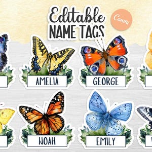Editable Classroom Name Tags | Butterflies - Etsy