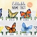 Editable Classroom Name Tags | Butterflies - Etsy