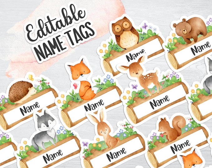 Printable Classroom Labels, Student Name Cards, Bright Name Labels ...